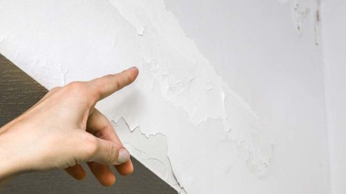 Ultimate Guide for Achieving Ideal Home Humidity Levels