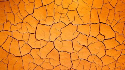 Ultimate Guide for Achieving Ideal Home Humidity Levels