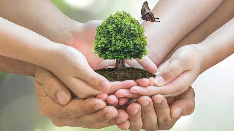 Air Conditioner Disposal Done Right