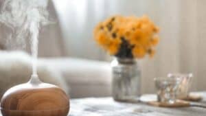 Managing Ideal Indoor Humidity Levels All-Year-Round